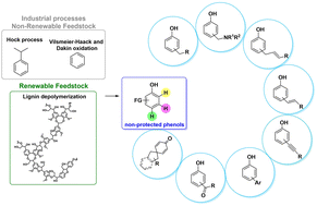 Csp2–H functionalization of phenols: an effective access route to ...