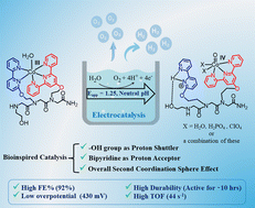 An intramolecular cobalt-peptoid complex as an efficient ...