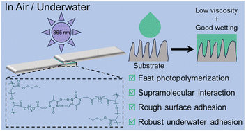 Wetting-enhanced adhesion of photo-polymerized supramolecular adhesives ...