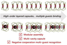 High-order layered self-assembled multicavity metal–-organic capsules ...