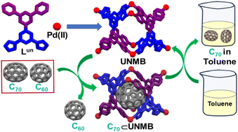 Formation of a low-symmetry Pd8 molecular barrel employing a hetero ...