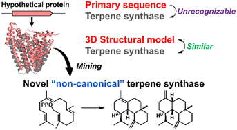Structural-model-based genome mining can efficiently discover novel non ...