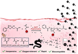 Aqueous photo-RAFT polymerization under ambient conditions: synthesis ...