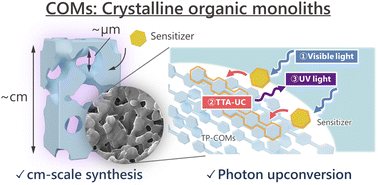 Crystalline organic monoliths with bicontinuous porosity - Chemical ...