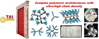 Straightforward synthesis of complex polymeric architectures with ultra ...