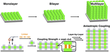 Anisotropic electronic coupling in three-dimensional assembly of ...