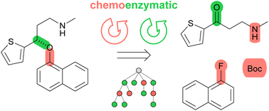 Chemoenzymatic multistep retrosynthesis with transformer loops - Chemical Science (RSC Publishing)