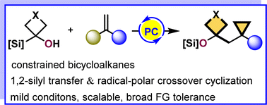 Synthesis of constrained bicycloalkanes through bibase-promoted brook ...