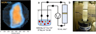 Engineered species-selective ion-exchange in tuneable dual-phase ...
