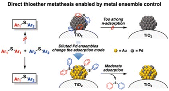 Heterogeneously catalyzed thioether metathesis by a supported Au–Pd ...