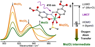 Ligand-to-metal charge transfer facilitates photocatalytic oxygen atom ...