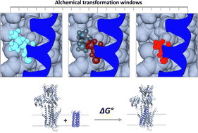 Probing the formation of a hetero-dimeric membrane transport complex ...