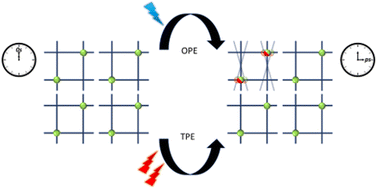 Out-of-equilibrium dynamics of a grid-like Fe(ii) spin crossover dimer ...
