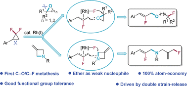 Double strain-release enables formal C–O/C–F and C–N/C–F ring-opening ...