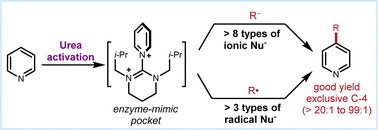 Unified ionic and radical C-4 alkylation and arylation of pyridines ...