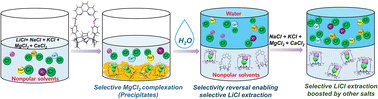 Ion pair extractant selective for LiCl and LiBr - Chemical Science (RSC ...
