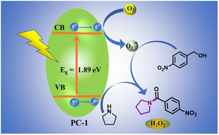 Visible light-driven molecular oxygen activation for oxidative ...