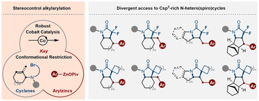 Cobalt-catalyzed conformationally restricted alkylarylation enables ...