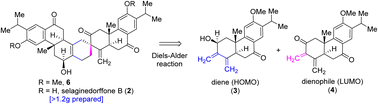 Biomimetic total synthesis of the reported structure of ...