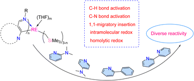 Rare-earth metal complexes bearing electrophilic and nucleophilic ...