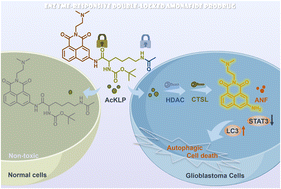 An enzyme-responsive double-locked amonafide prodrug for the treatment ...