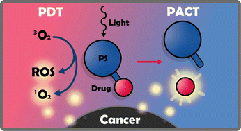 Two in one: merging photoactivated chemotherapy and photodynamic ...