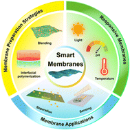 Smart membranes for separation and sensing - Chemical Science (RSC ...