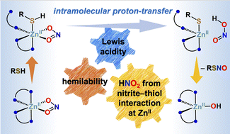 Role of ancillary ligands in S-nitrosothiol and NO generation from ...