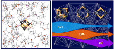 Morphology of lithium halides in tetrahydrofuran from molecular ...
