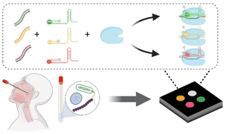 Multiplexed detection of respiratory pathogens using a portable device combining a CREM strategy ...
