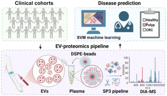 A simplified and efficient extracellular vesicle-based proteomics ...