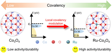 Regulating Co–O covalency to manipulate mechanistic transformation for ...
