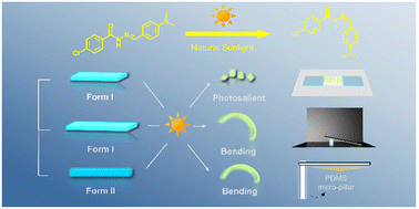 Dynamic organic crystals as exceptionally efficient artificial natural ...