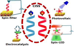 The chirality-induced spin selectivity effect in asymmetric spin ...