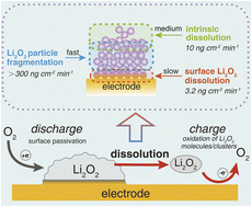 Sluggish Li2O2 dissolution – a key to unlock high-capacity lithium ...