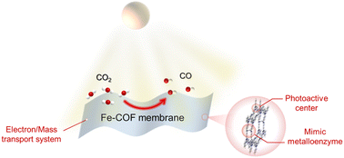 Mimic metalloenzymes with atomically dispersed Fe sites in covalent ...