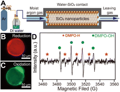 Simultaneous generation of hydroxyl and hydrogen radicals from H+/OH− ...