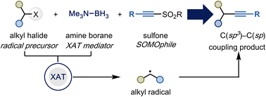 Boryl radical-mediated halogen-atom transfer (XAT) enables the ...