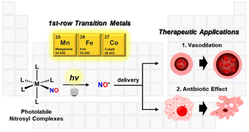 Photo-triggered NO release of nitrosyl complexes bearing first-row ...