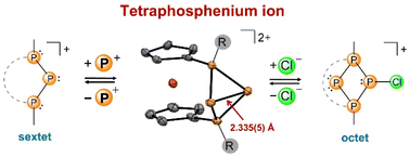 P+ addition and transfer involving a tetraphosphenium ion - Chemical ...