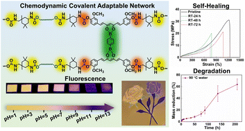 Chemodynamic covalent adaptable network-induced robust, self-healing ...