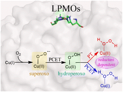 Theoretical study of the in situ formation of H2O2 by lytic ...