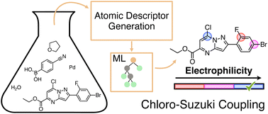 Atom-based machine learning for estimating nucleophilicity and ...