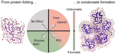 Tuning biological processes via co-solutes: from single proteins to ...