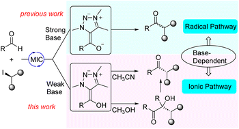 Switching mesoionic carbene-organocatalysis from radical to ionic ...