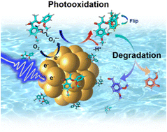 Water-accelerated photooxidation and degradation of lignin linkages ...