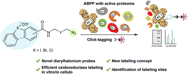 A general approach for activity-based protein profiling of ...