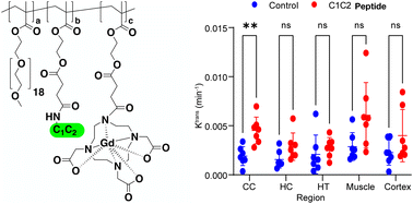 Optimized gadolinium-DO3A loading in RAFT-polymerized copolymers for ...