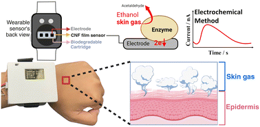 Highly sensitive flux-type non-invasive alcohol biosensor based on ...