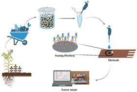 Development of a portable electrochemical sensing platform for ...